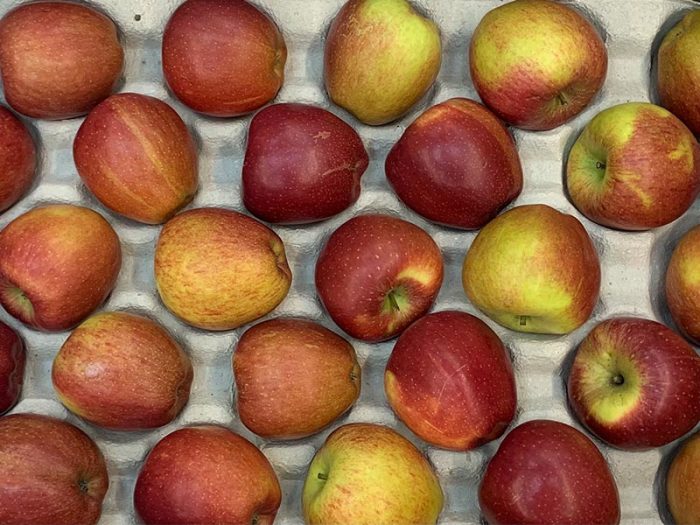 Apples Braeburn - Top Fruits Wellington