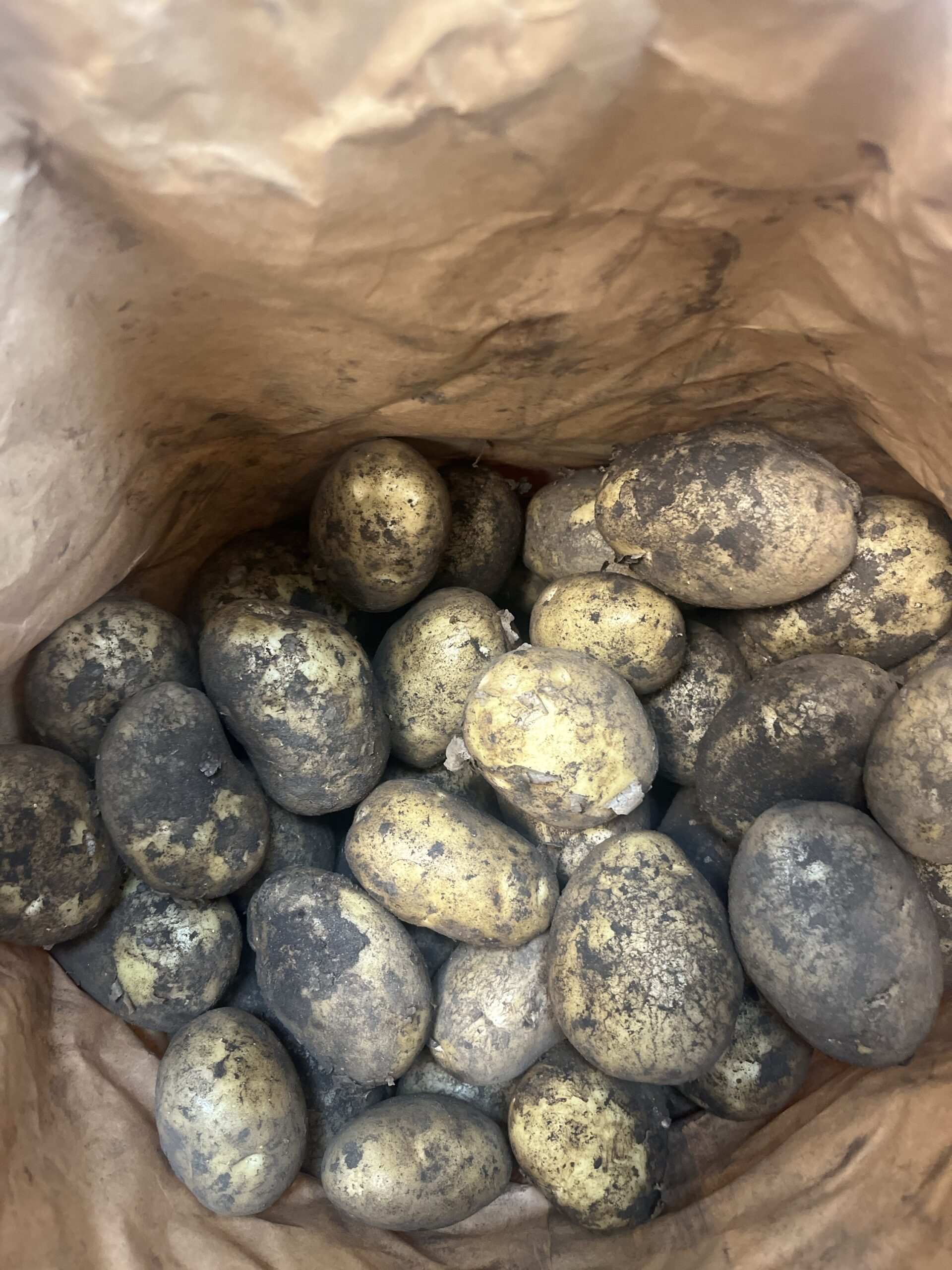 Potatoes Wilja 2.5KG - Top Fruits Wellington